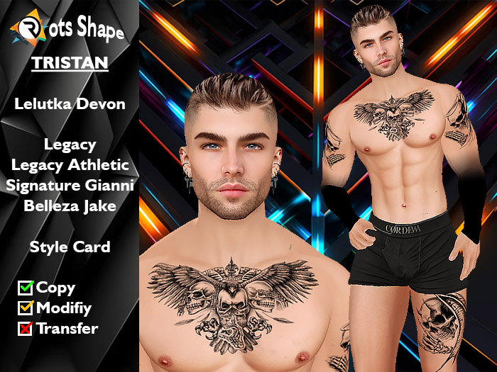 Second Life Marketplace - Tristan - Devon Shape - Lelutka Devon head evox - Rots Shape